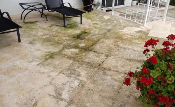 Patio with Mold and Algae | Excel Stone and Tile Care